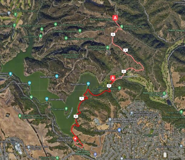 Race Info - Bad Bass - Brazen Racing