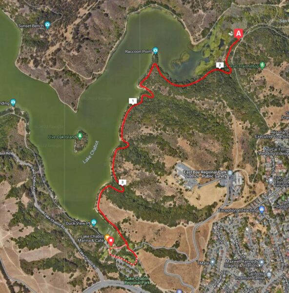 Race Info - Bad Bass - Brazen Racing