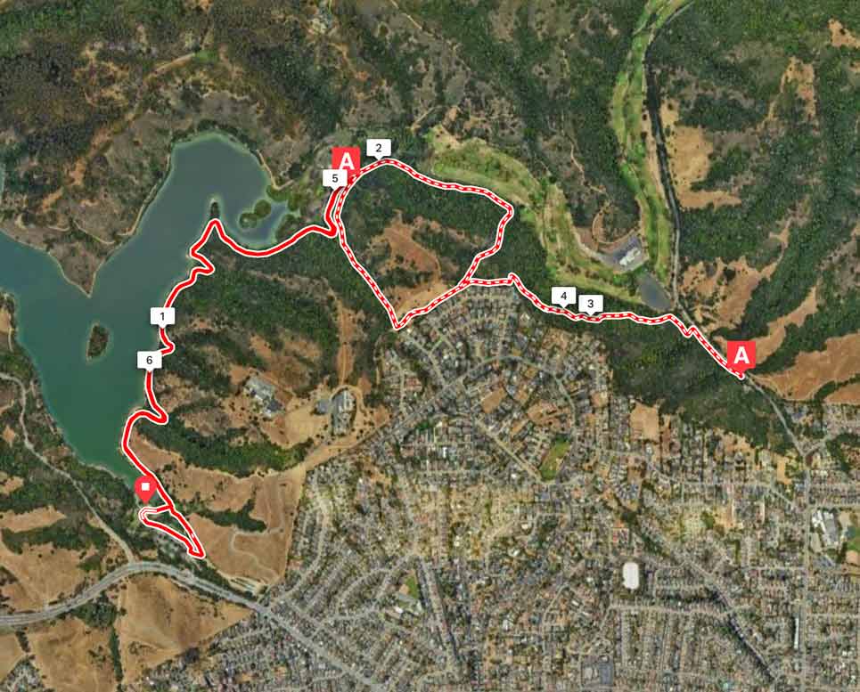 Bad Bass | half marathon, 10K, 5K | 7/22/23 | Castro Valley