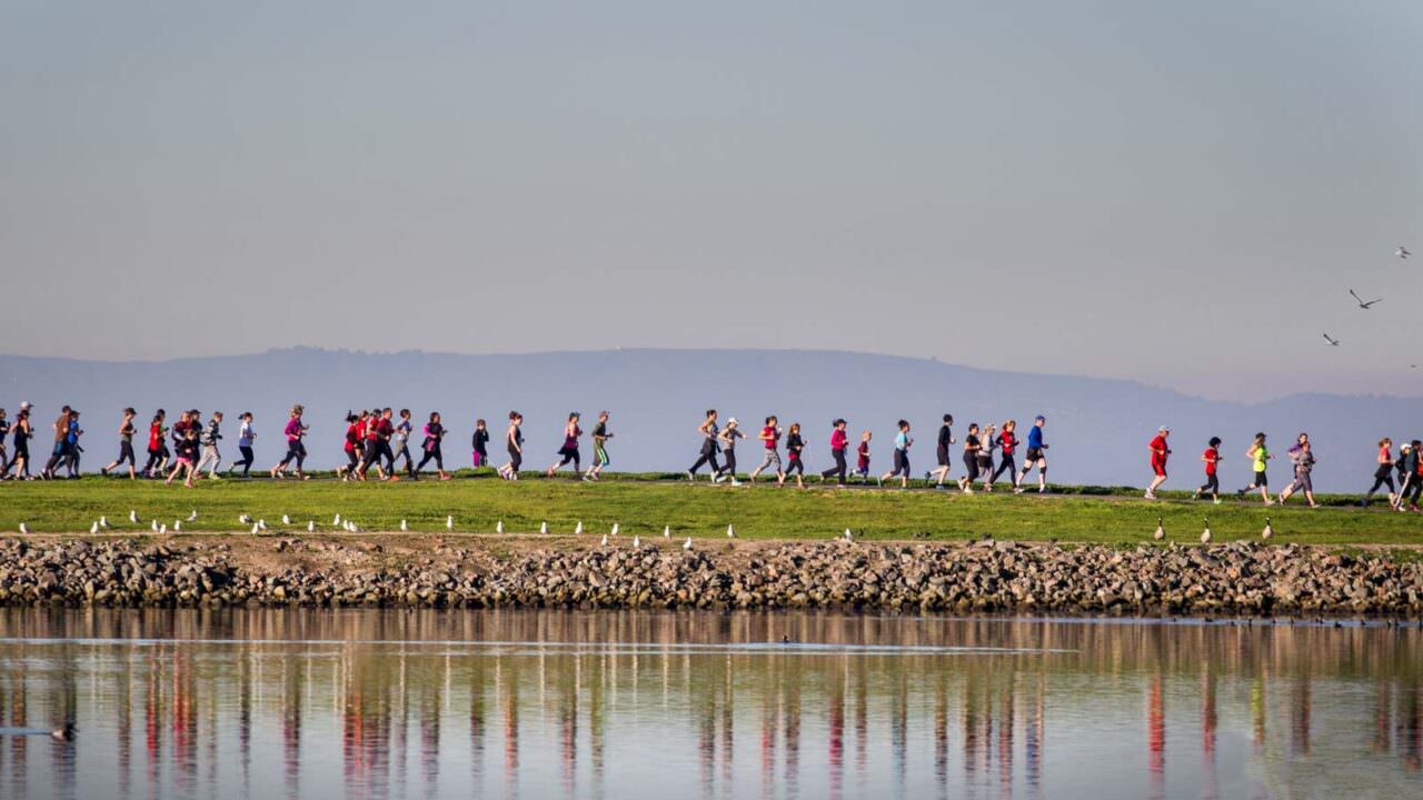 Brazen Racing Valentine's Day Bay Breeze Runs and Victory Virtual Race