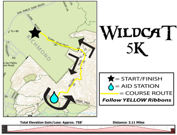 Race Info - Wildcat - Brazen Racing