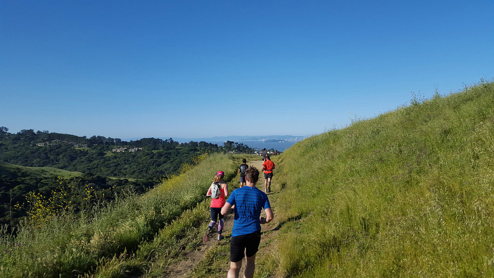 Wildcat | Half Marathon, 10K & 5K | 5/31/25 | El Sobrante California
